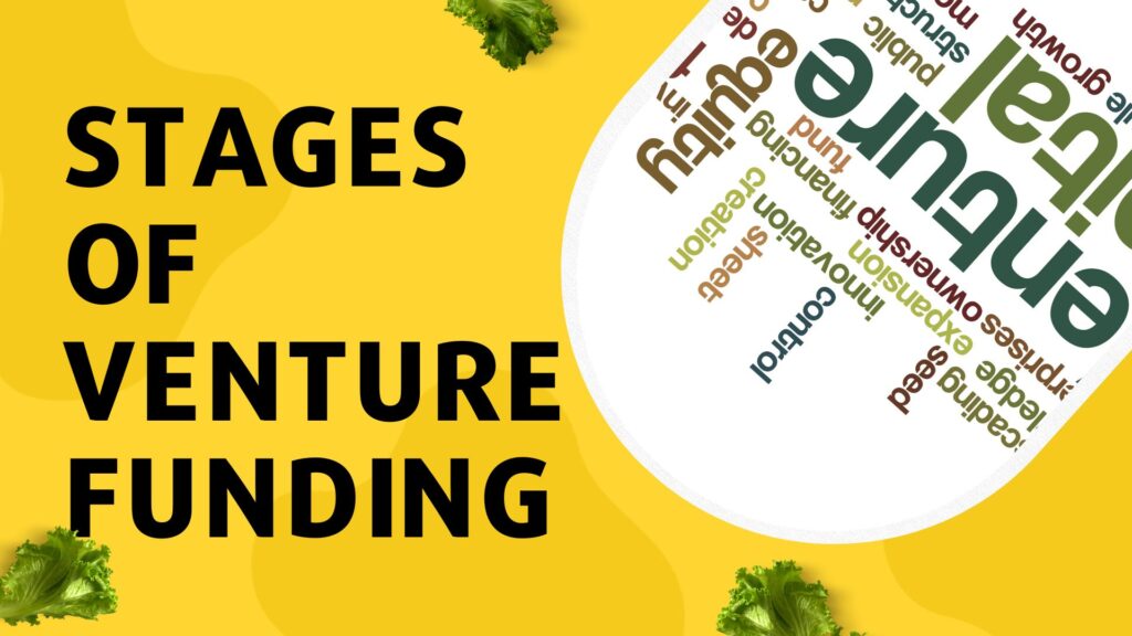 The Stages of Venture Funding: Exploring the Journey | INVEST ISSUE